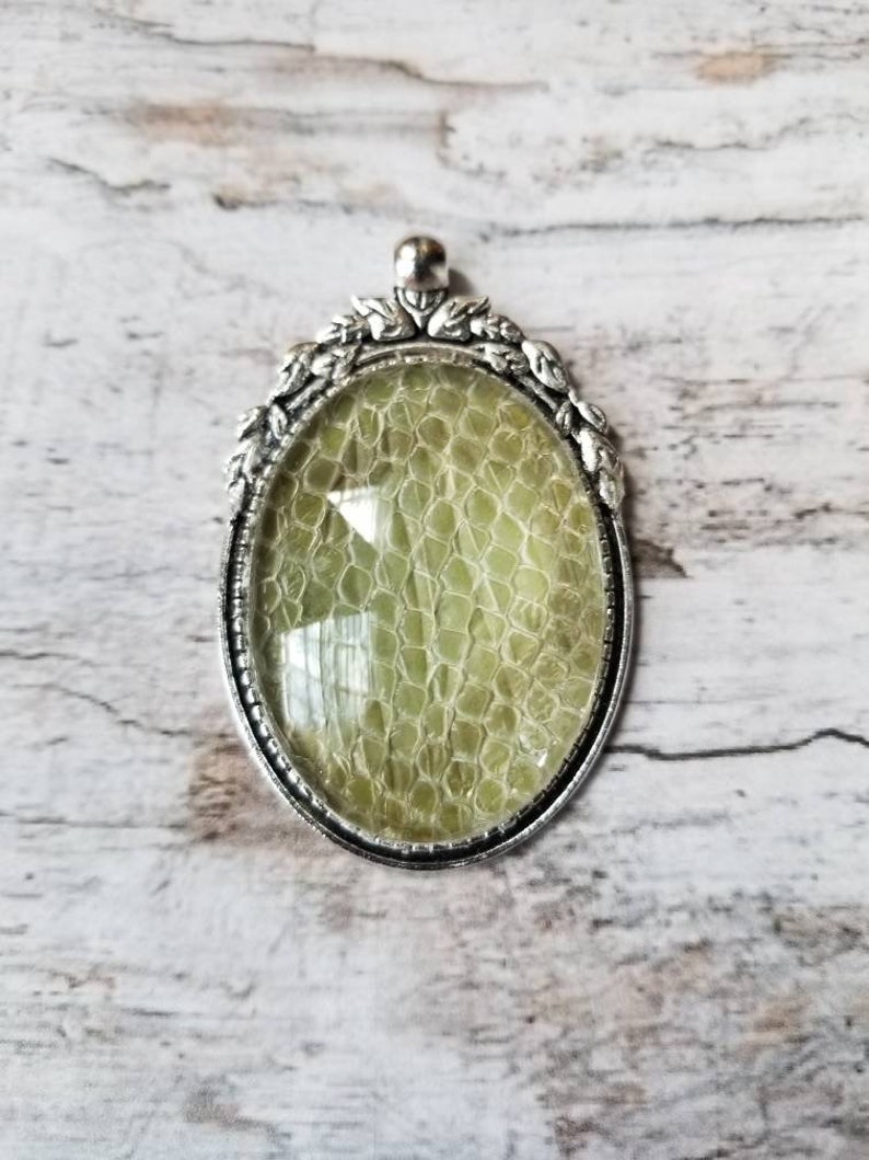 Snake Shed Jewelry, Snake Shed Pendant, Snakeskin Necklace, Cruelty ...