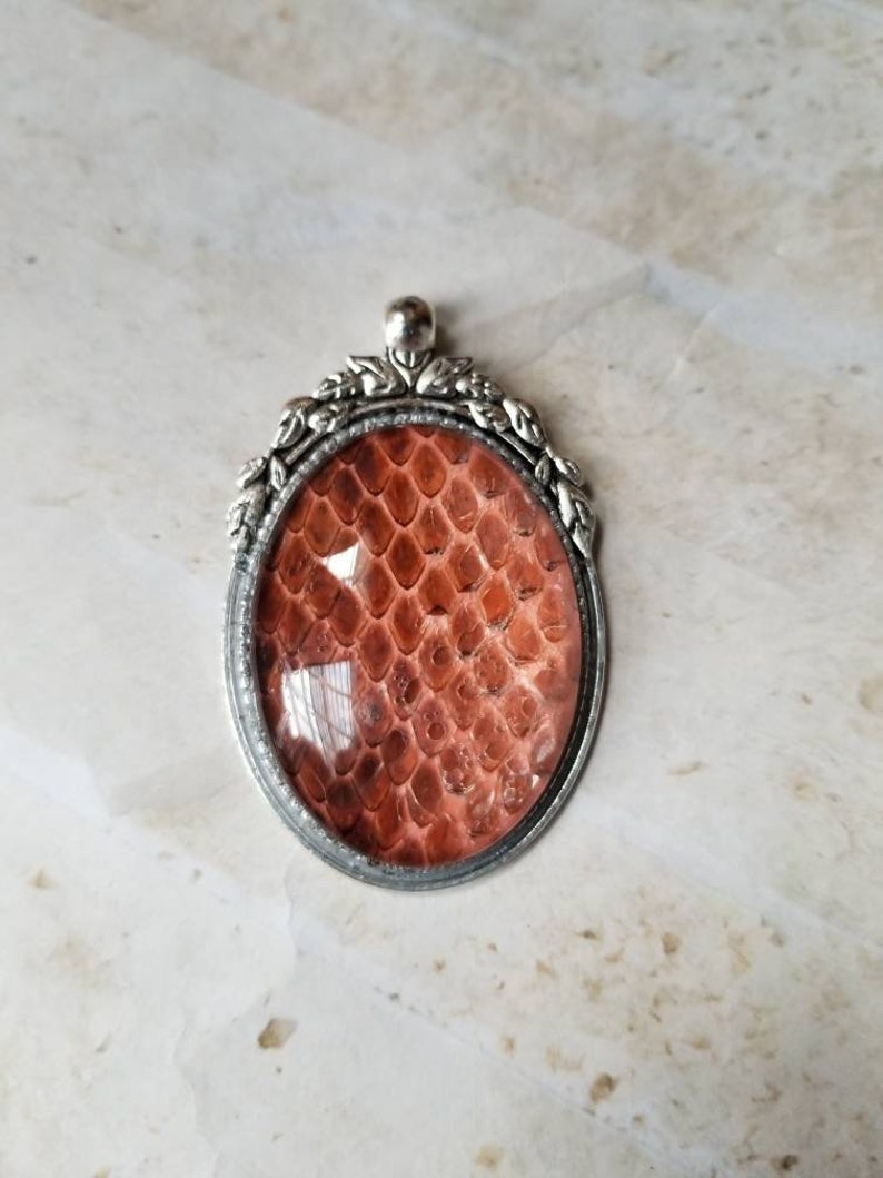 Snake shed jewelry snake shed pendant snakeskin necklace | Etsy