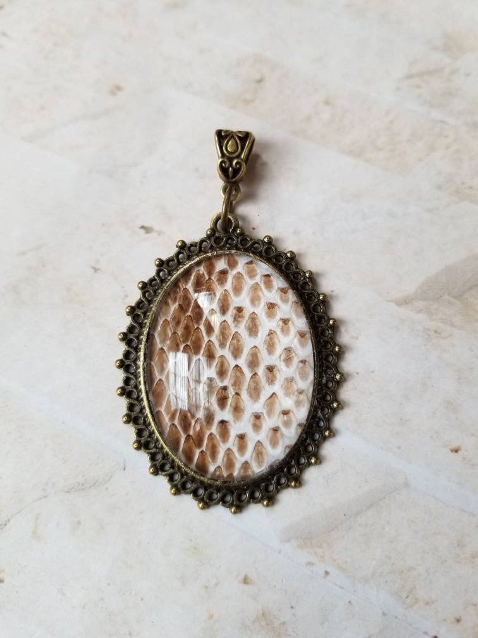 Snake Shed Jewelry Snake Shed Pendant Snakeskin Necklace - Etsy
