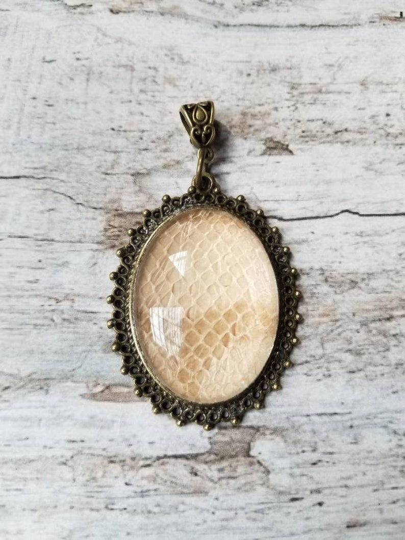 Snake Shed Jewelry, Snake Shed Pendant, Snakeskin Necklace, Cruelty ...
