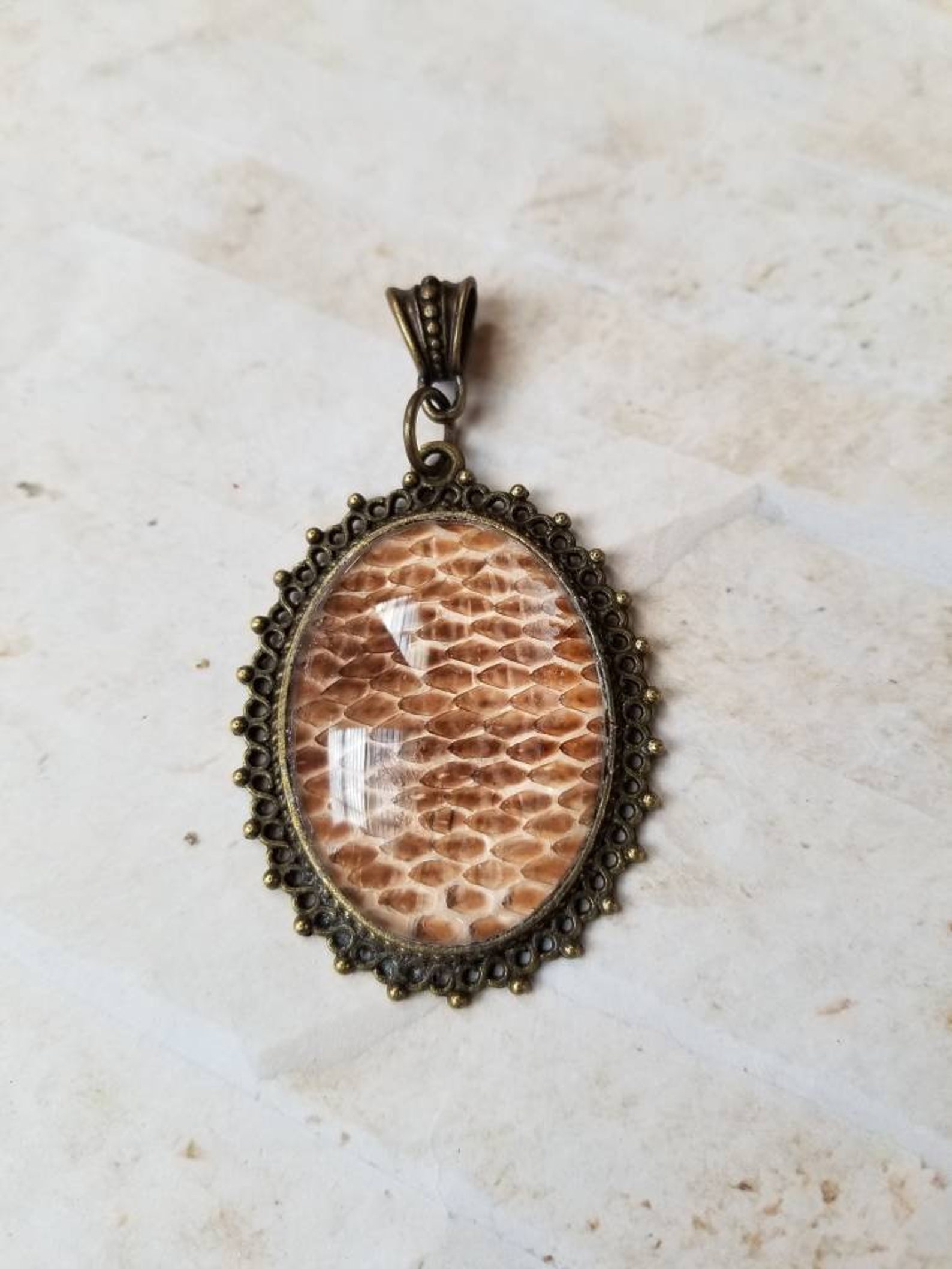 Snake Shed Jewelry Snake Shed Pendant Snakeskin Necklace - Etsy