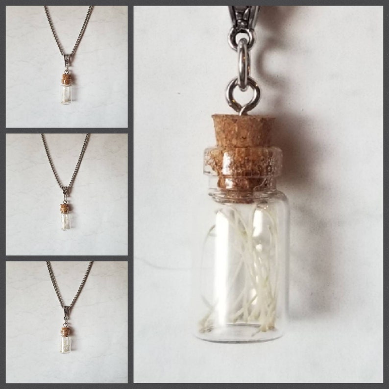 Snake Rib Vial Pendant Snake Rib Bottle Pendant Snake Bones - Etsy