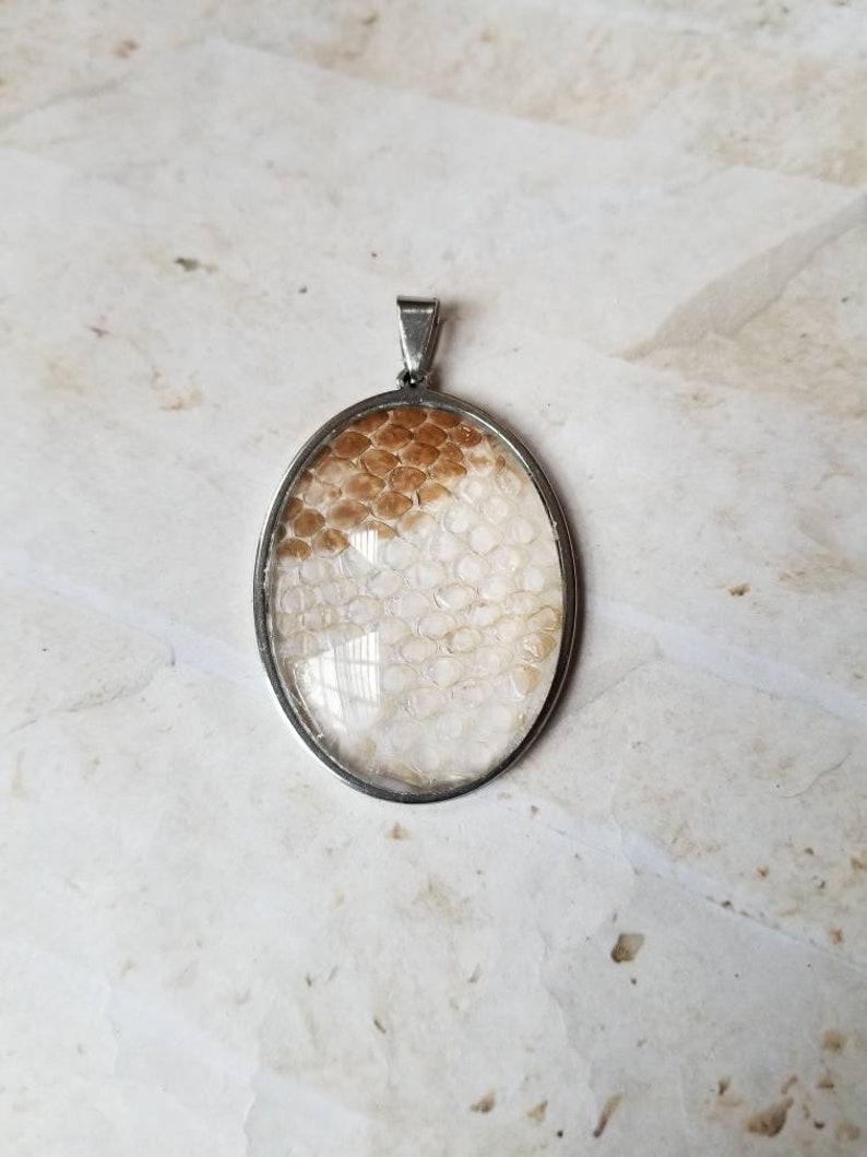 Snake Shed Jewelry, Snake Shed Pendant, Snakeskin Necklace, Cruelty ...