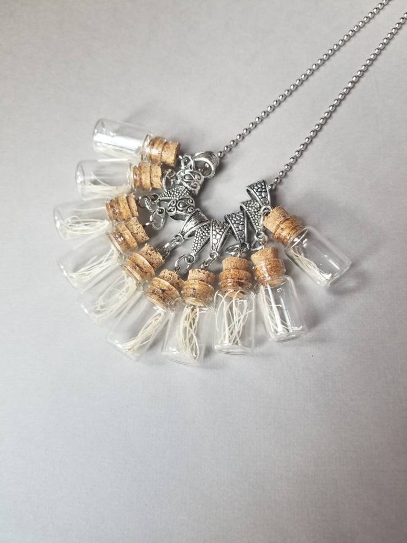 Snake rib vial pendant snake rib bottle pendant snake bones | Etsy