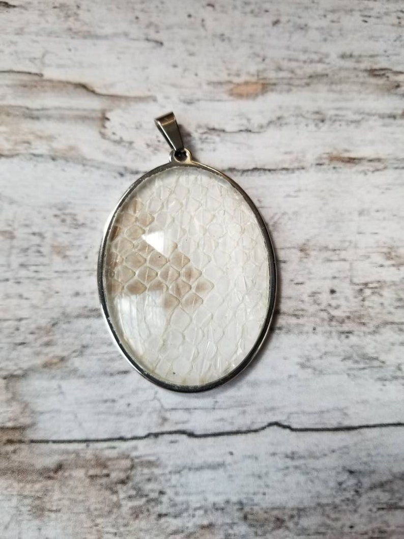 Snake Shed Jewelry Snake Shed Pendant Snakeskin Necklace | Etsy