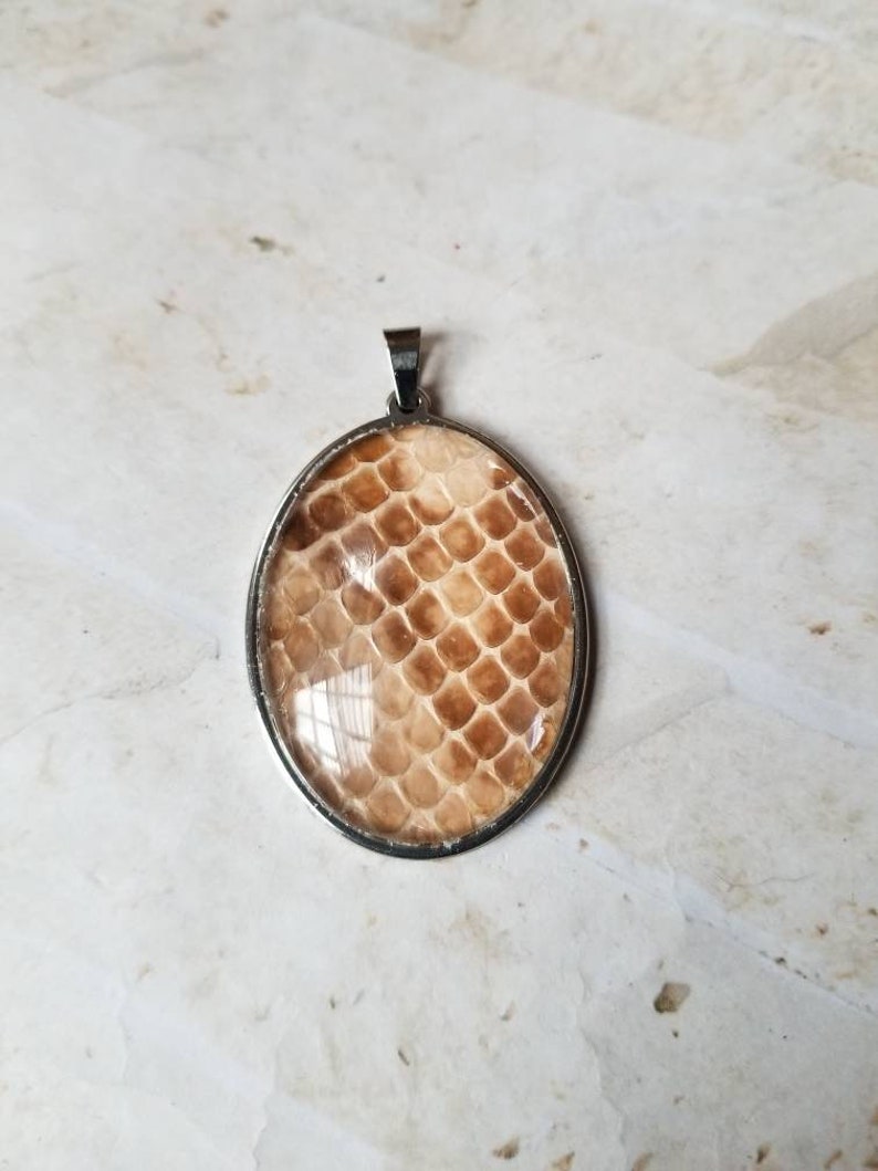 Snake Shed Jewelry Snake Shed Pendant Snakeskin Necklace | Etsy