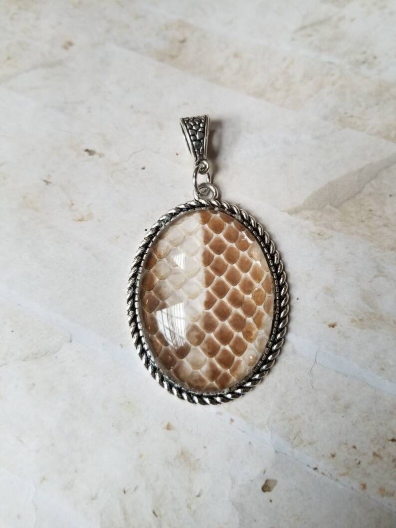 Snake Shed Jewelry, Snake Shed Pendant, Snakeskin Necklace, Cruelty ...