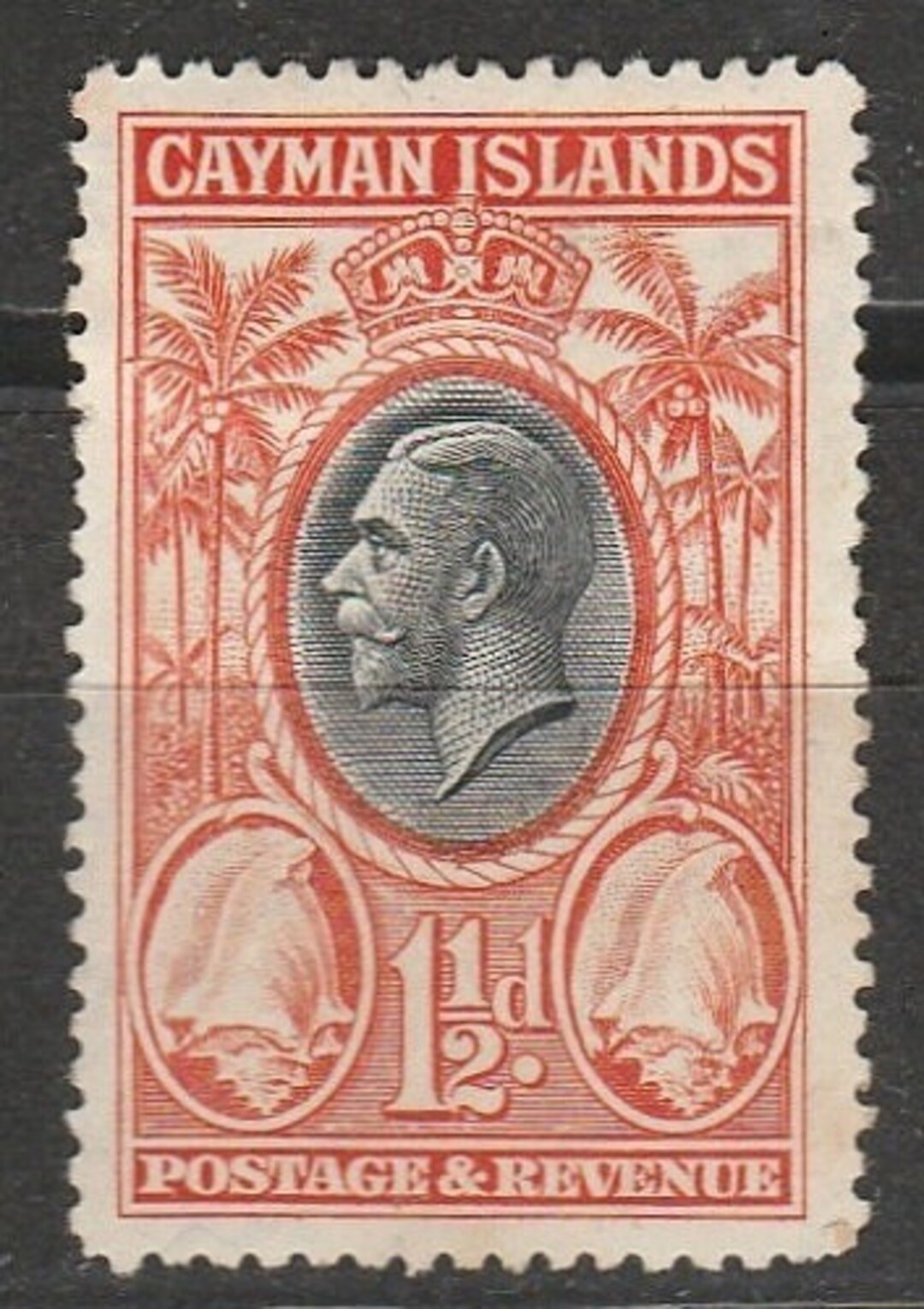 Cayman Islands 1935 1.1/2d Pink Conch Shells SG 99 U/mint - Etsy