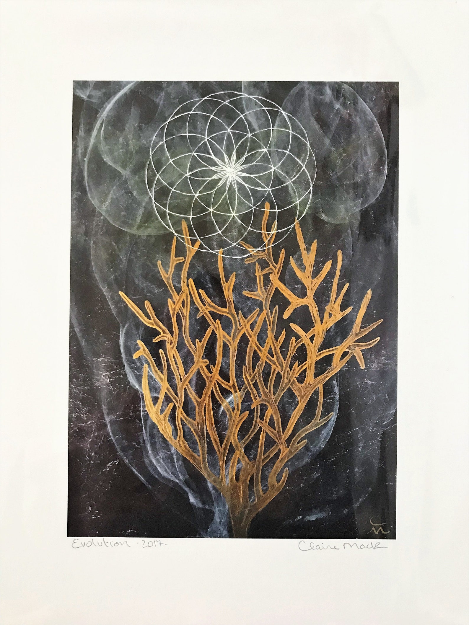 Art Print, Print, Fine Art, Evolution, Gold, Black, Mystical, Coral ...
