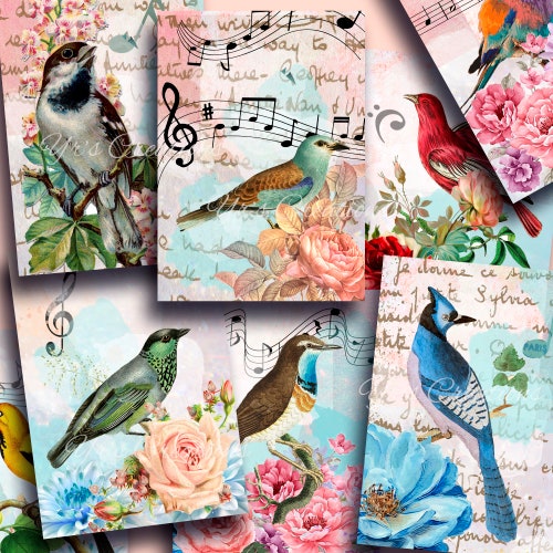 DIGITAL COLLAGE SHEET Birds & Butterflies. Printable Ephemera - Etsy