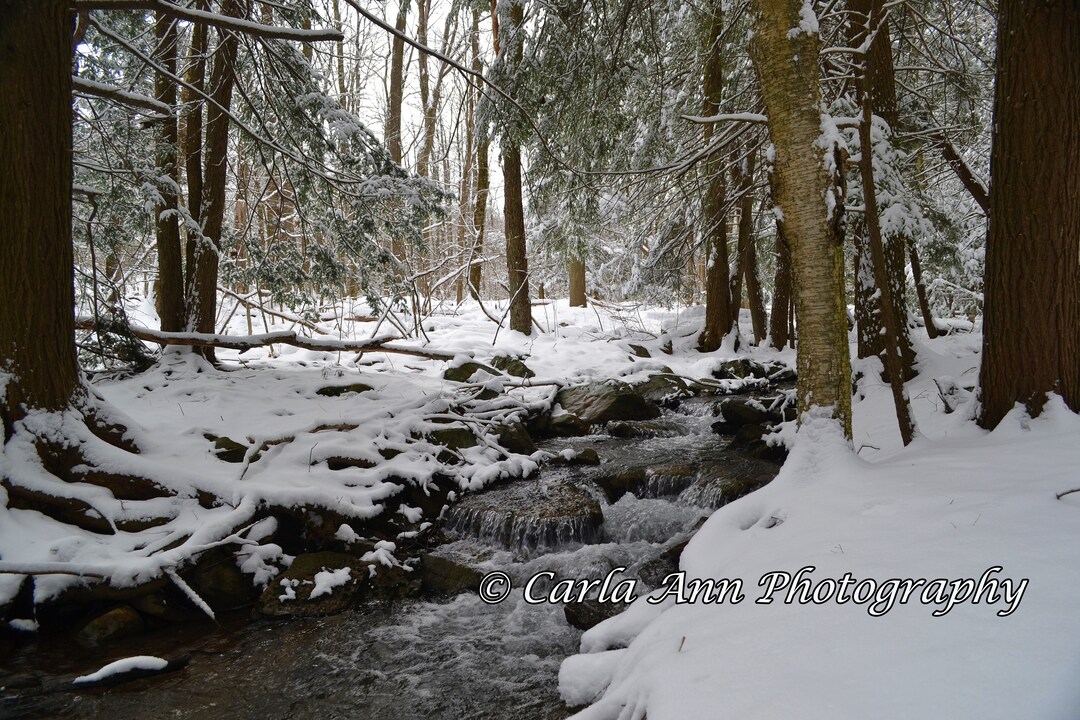 Original Nature Photograph - Snowy Stream Photo - 5x7 Matted Print - Etsy