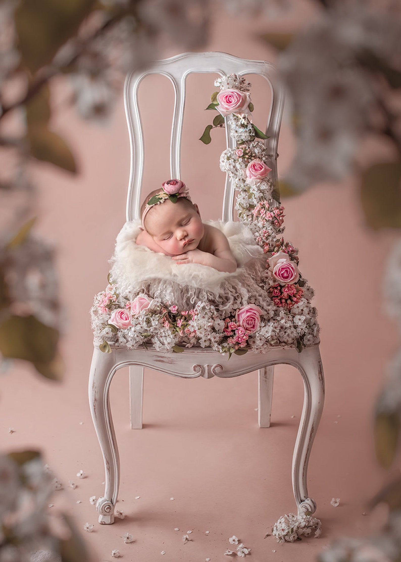 Newborn Digital Backdrops / Prop / Digital Background / Newborn ...