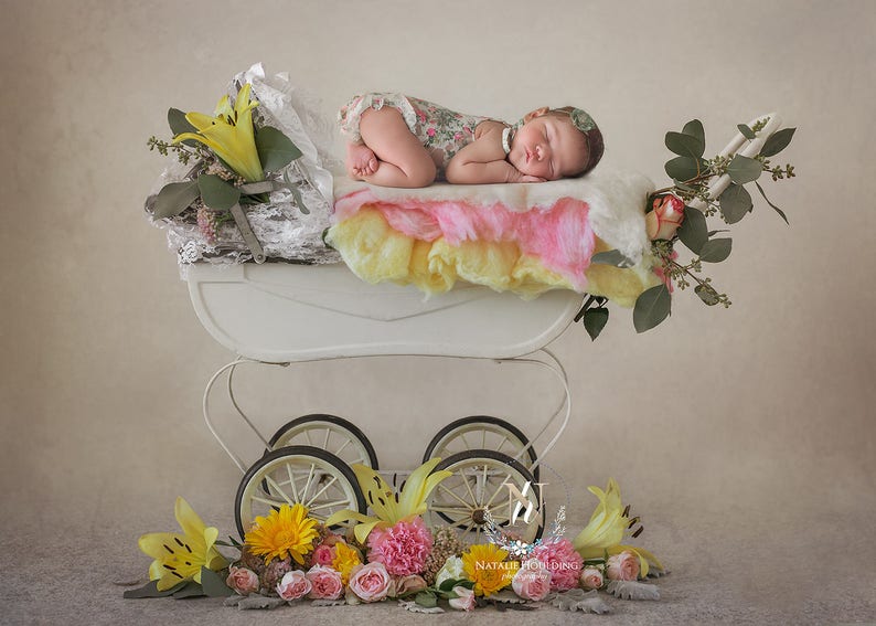 Newborn Digital Backdrop/ Prop / / Fresh Flowers Pram (galya ...