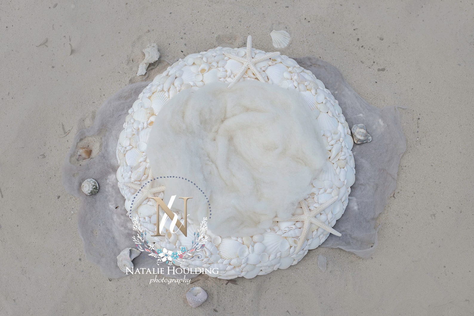Newborn Digital Backdrop / Prop - Shells (nemo)- Photography - Etsy