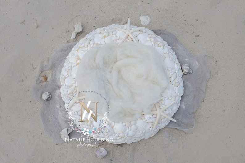 Newborn Digital Backdrop / Prop - Shells (nemo)- Photography - Etsy