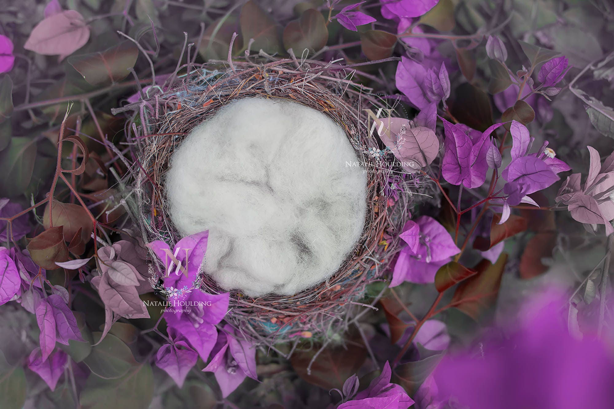 Penni- Newborn Digital Backdrop- Basket- Wreath- Fresh Flowers- Prop ...