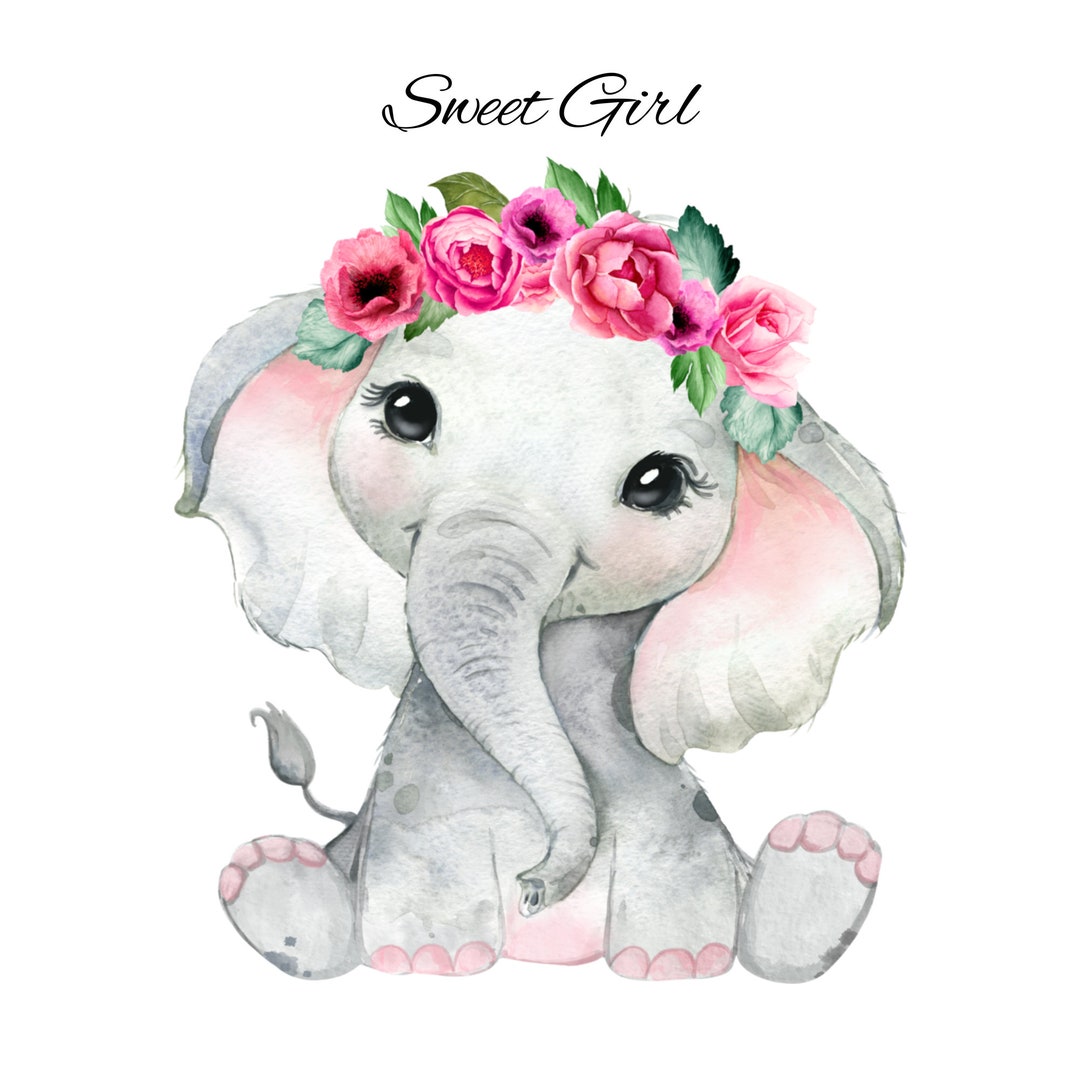 Sweet Girl Baby Elephant - Etsy