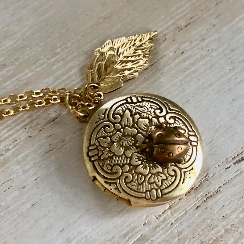 Heart Ladybug Necklace - Etsy UK