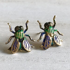 Bug Earrings, Fly Earrings, Bugs, Insect Earrings, Creepy Earrings ...