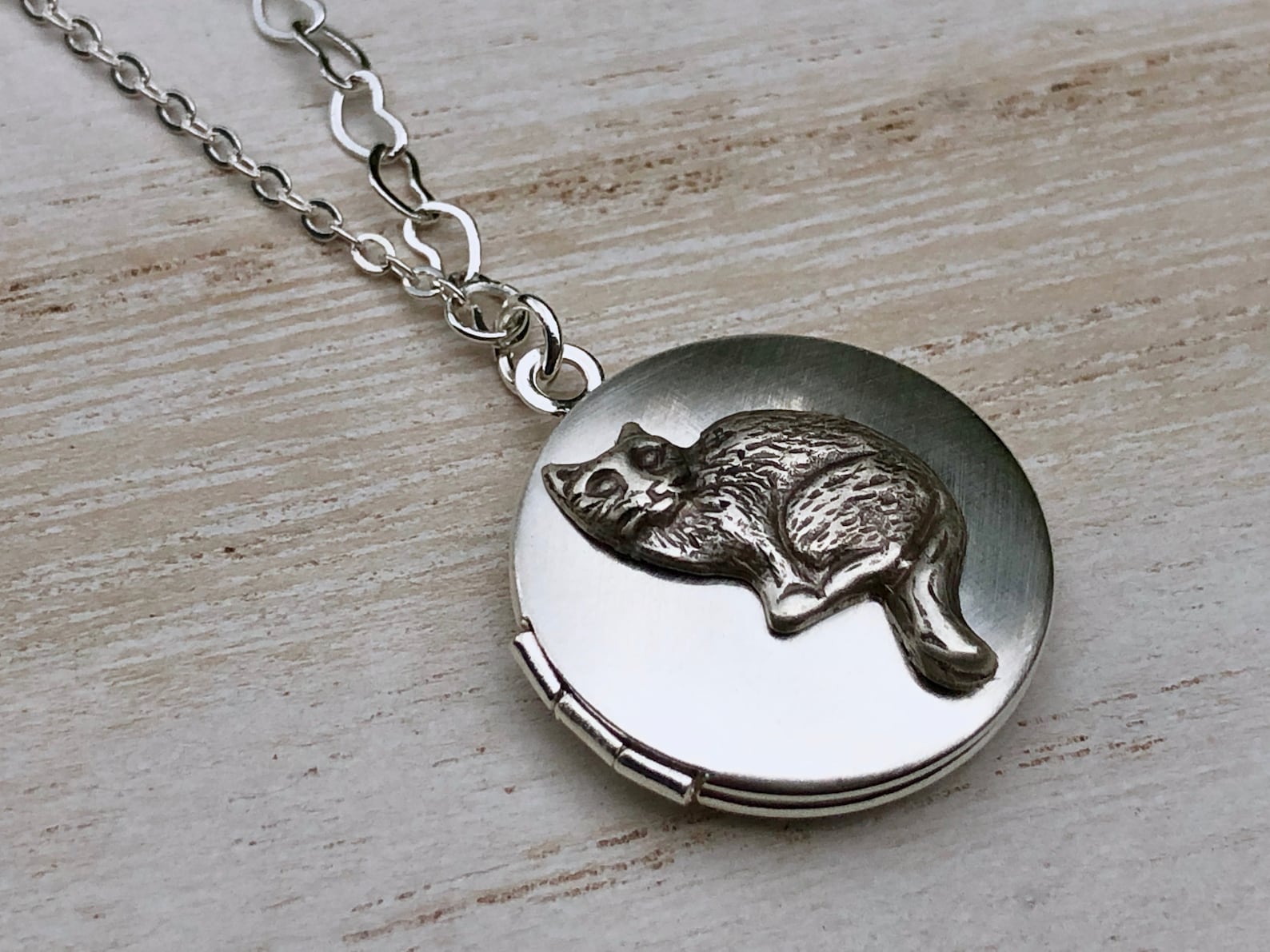 Silver Cat Locket necklace Customized Pet Locket with Photos | Etsy