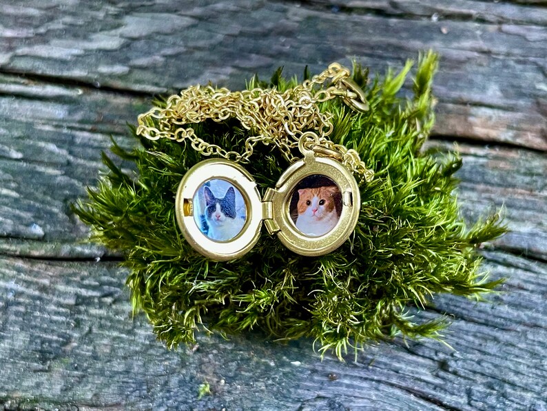 Tiny Green Locket With Daisy Customized With Photos - Etsy