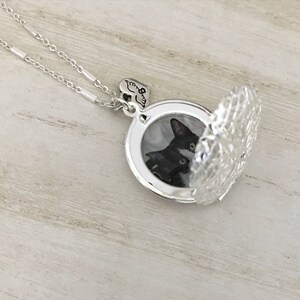 Pet Memorial Locket, Pet Loss, Silver Memorial Locket, Cat Loss, Dog ...