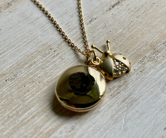 Petite Ladybug Locket Necklace With Photos Customized Gold or Silver Ladybird Locket Gift for Girls Teen Jewelry Bug Necklace Etsy