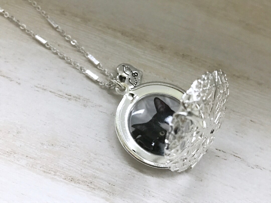 Pet Memorial Locket, Pet Loss, Silver Memorial Locket, Cat Loss, Dog ...