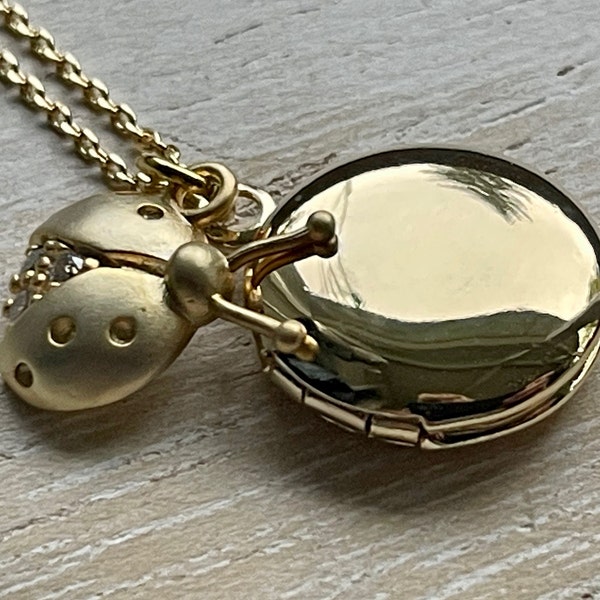 Ladybug Locket - Etsy