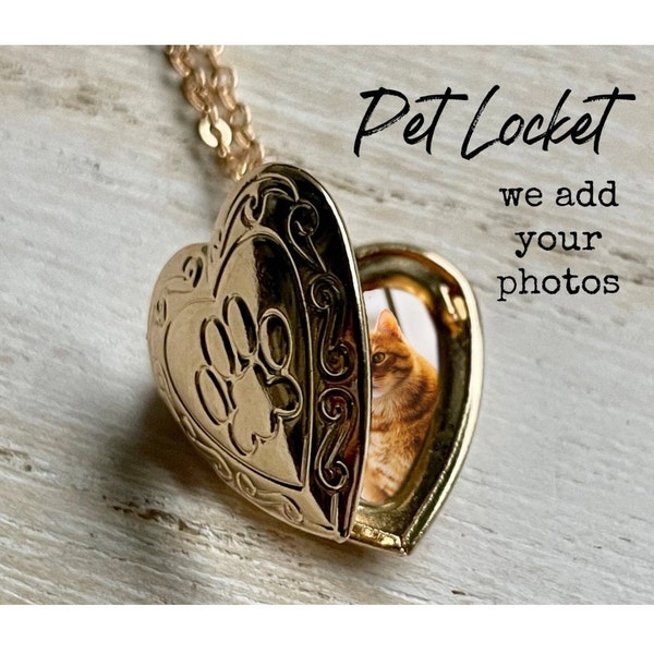 Locket Pets - Etsy