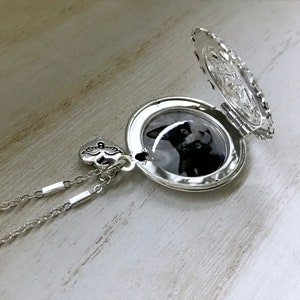Pet Memorial Locket, Pet Loss, Silver Memorial Locket, Cat Loss, Dog ...