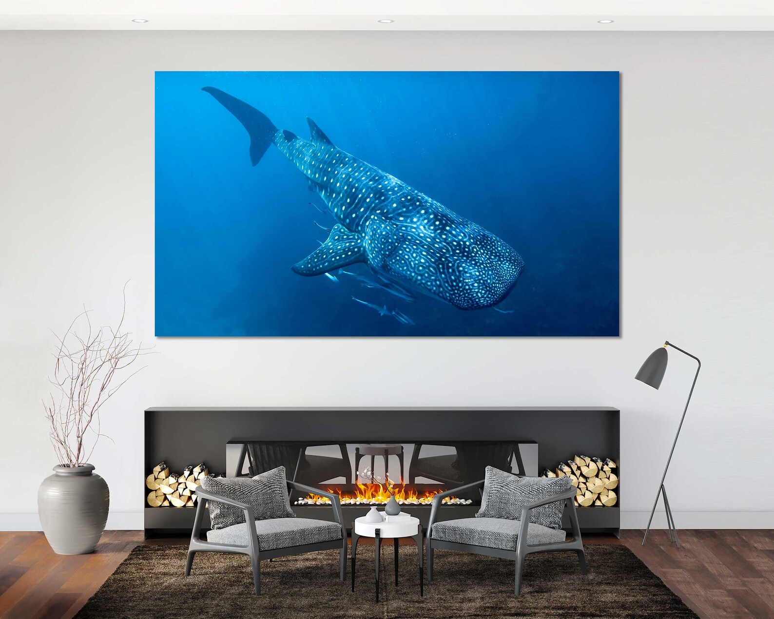 Whale Shark Best Wall Decor for Home Whale Shark Stylish - Etsy