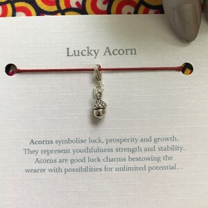 Lucky Charm - Lucky Acorn - Good Luck - Gift for Luck - Good Luck Gift ...