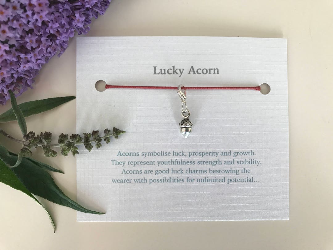 Lucky Charm Lucky Acorn Good Luck Gift for Luck Good - Etsy