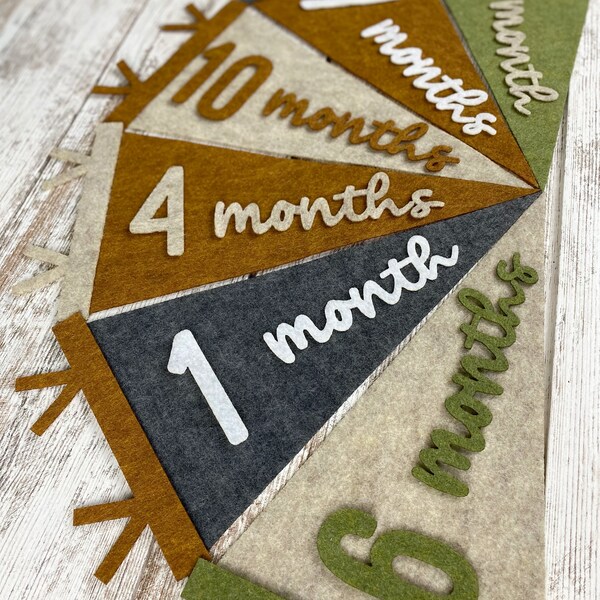 Monthly Photo Prop - Etsy