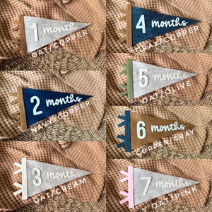 Felt Baby Milestone Pennant, Newborn Photo Prop, Neutral Colors - Etsy