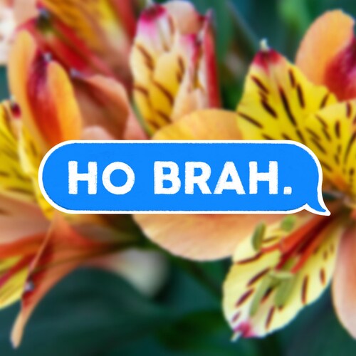 Cheehoo Sticker Hawaiian Slang Cheer Pidgin Moke Sticker Die - Etsy