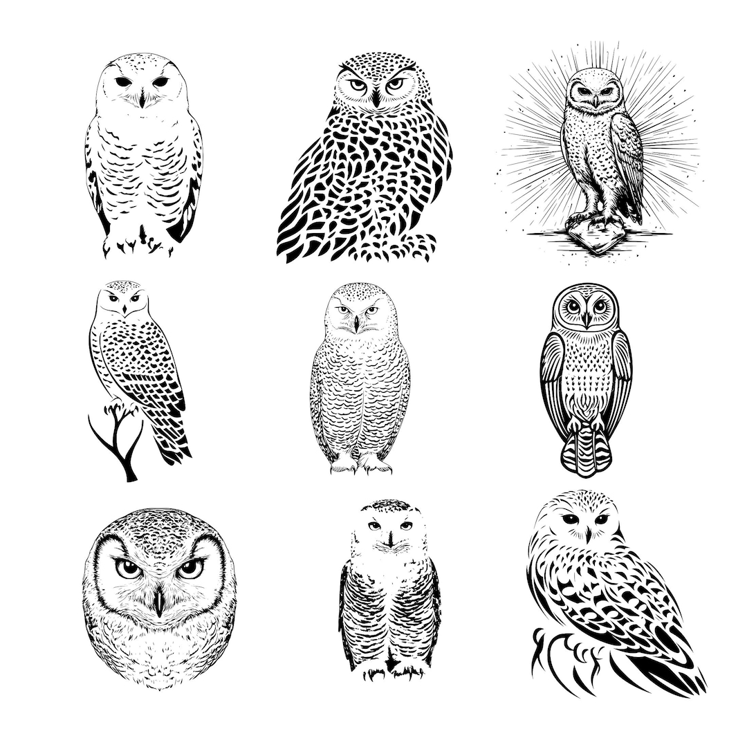 Snowy Owls Outline Illustration Bundle 9 SVG/PNG, Polar Bird of Prey ...