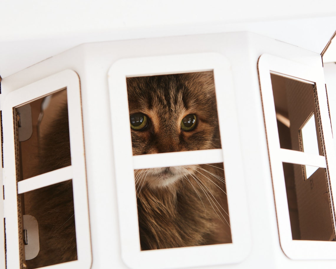 Custom Cat Furniture. Personalized Cardboard Cat House Based - Etsy