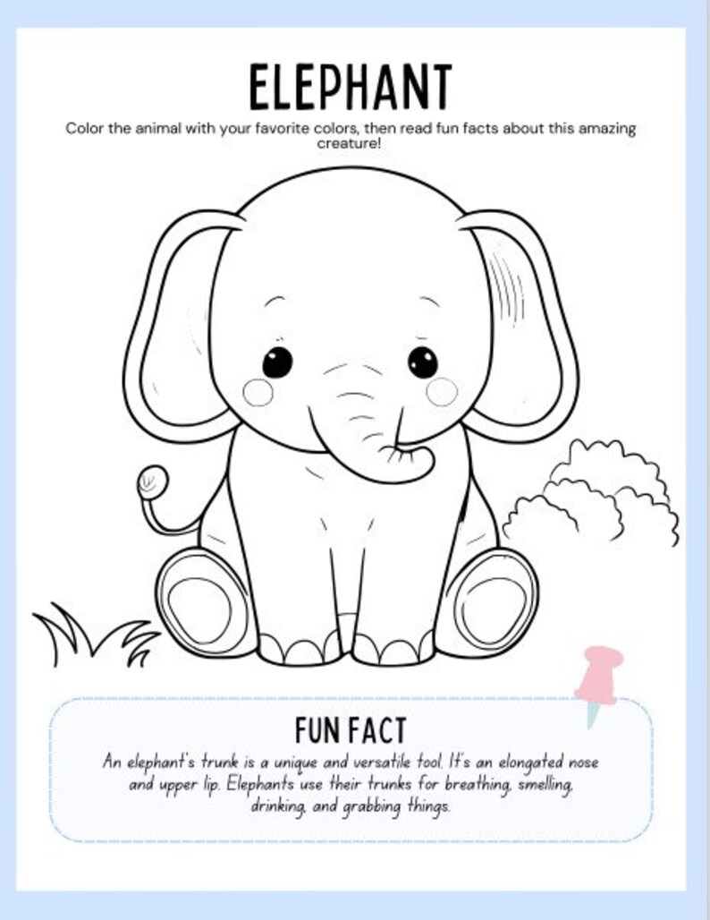 20 Digital Printable Pages of Animal Colouring Pages With Animal Facts ...