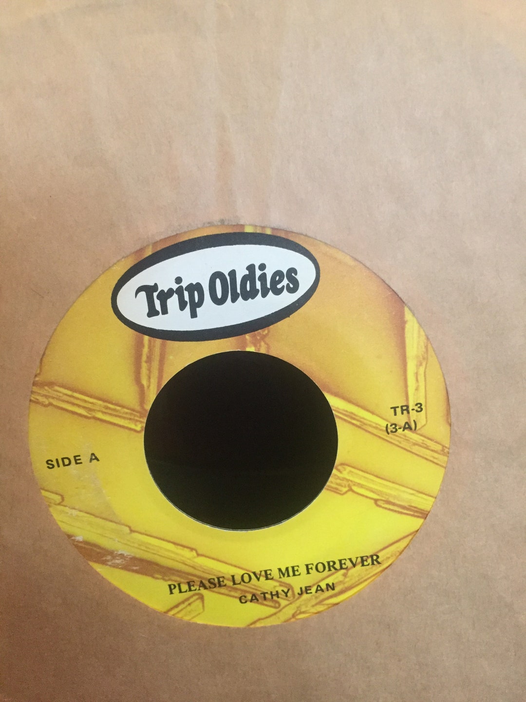 Cathy Jean / the Roomates Please Love Me Forever B/w Glory of Love ...