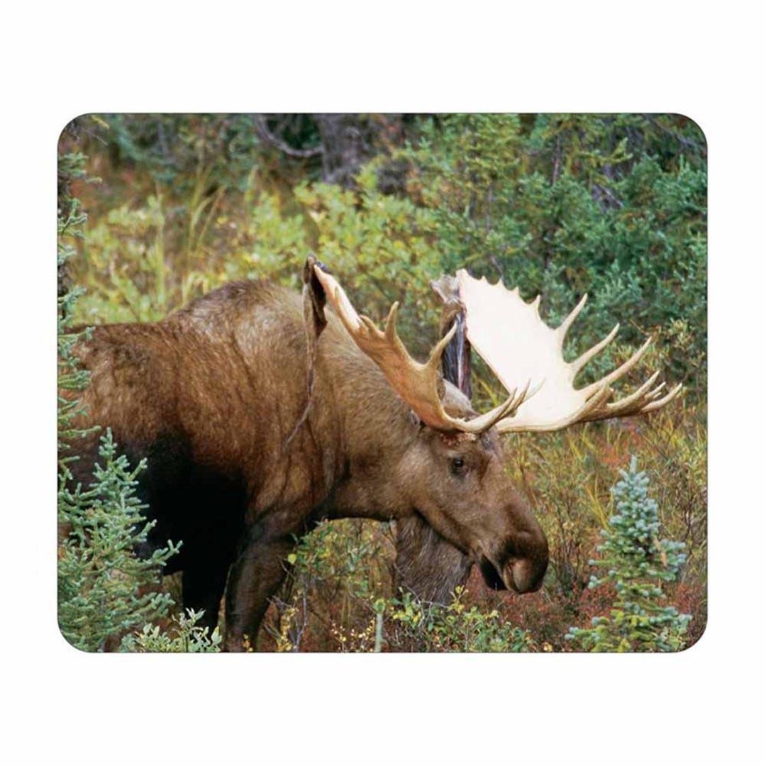 Moose Mouse Pad - Etsy