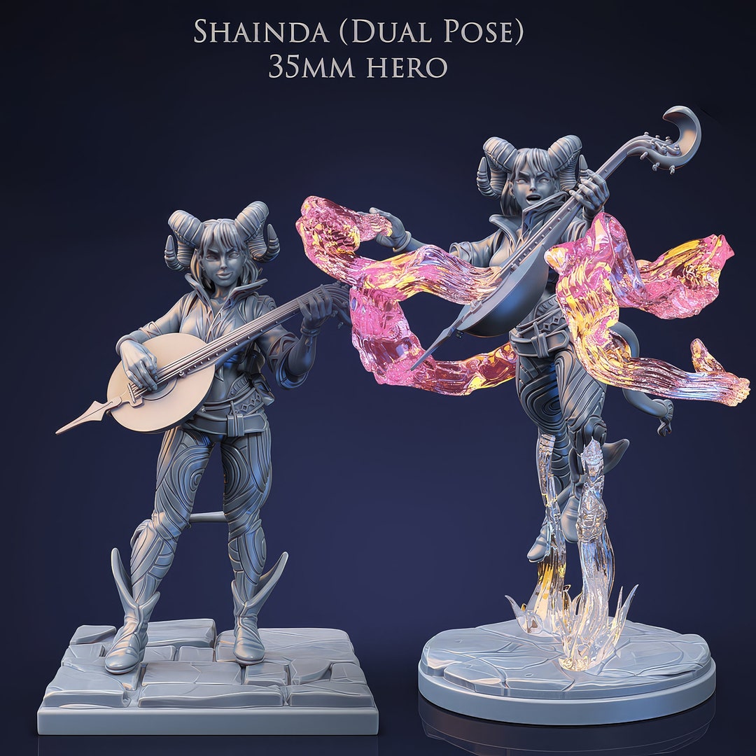Shainda the Bard Dual Pose STL, 3D Printable Heroine Model for Tabletop ...