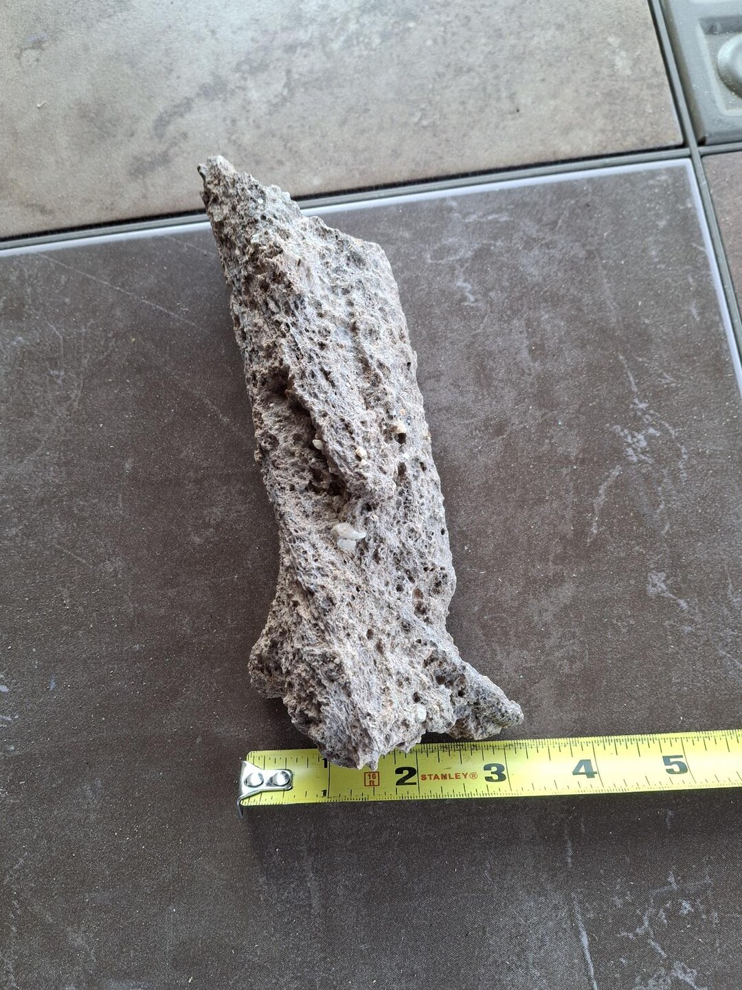 Big 8 " Lightning Strike, Petrified Rock,fulgarite Rock, Petrified Sand ...