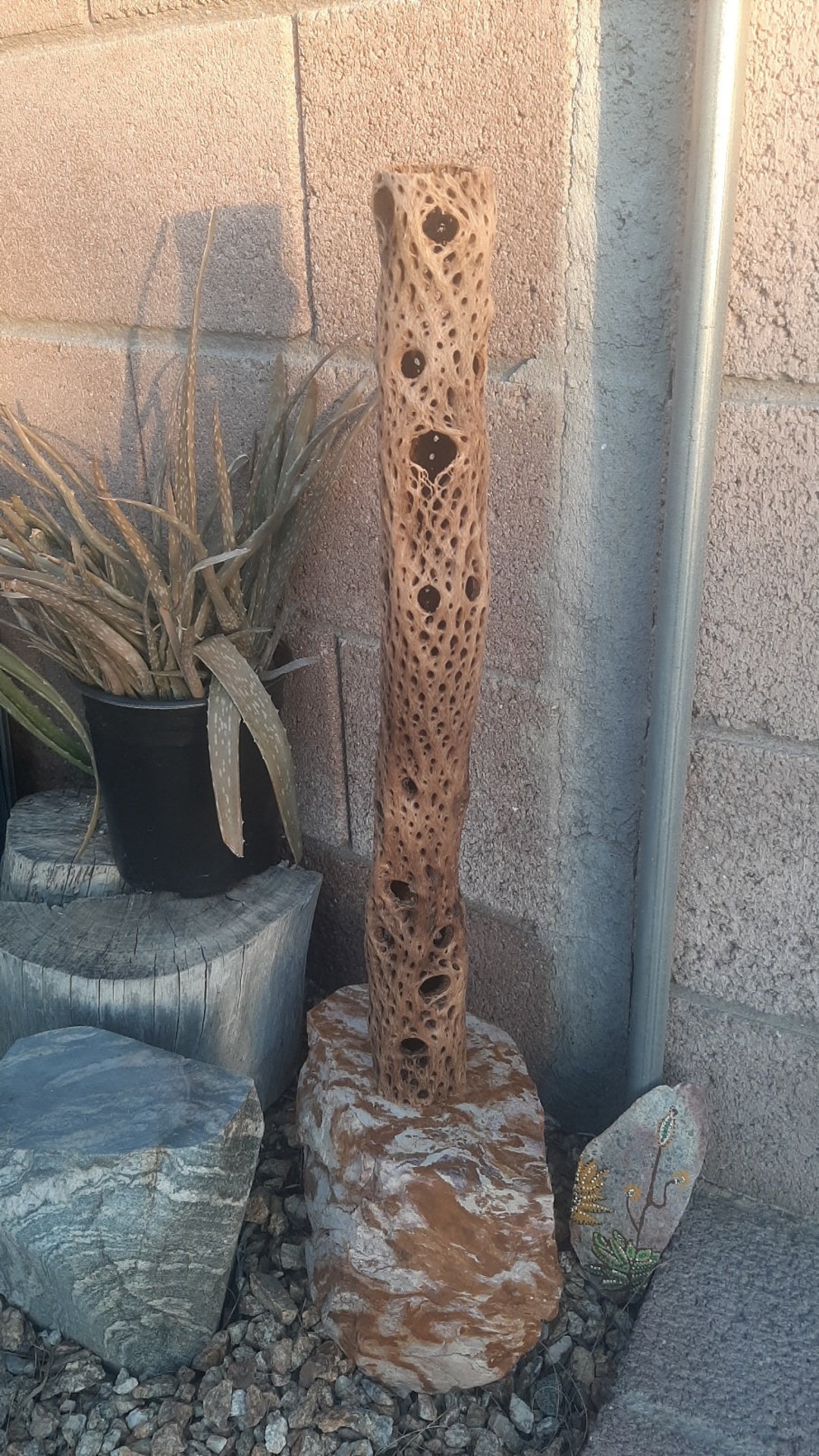 Mocha Brown 20" Cactus Cholla Skeleton, Decor, Desert Branch, Terrarium ...