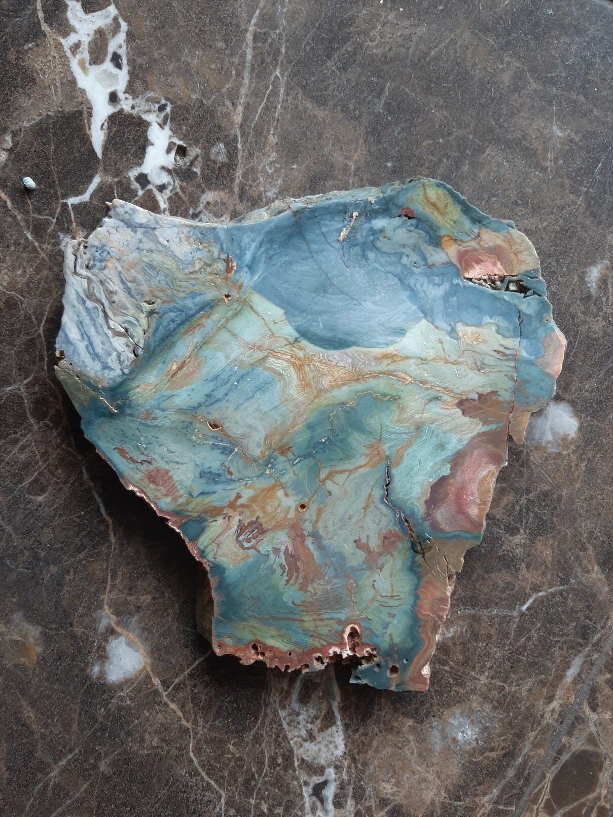 Big Green Petrified Moss Wood Slab, Raw Material Rock Slab. Cabbing ...