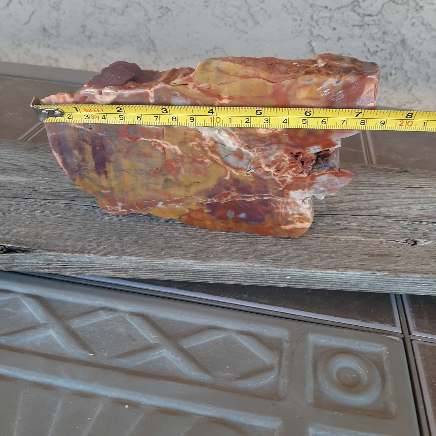 Home & Living Home Décor lapidary petrified wood display some bark on ...