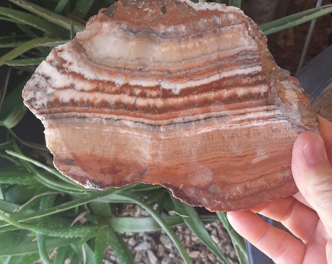 Layered Rock Slab, Crystal Calcite Slice, With Layers of Brown, Tan and ...