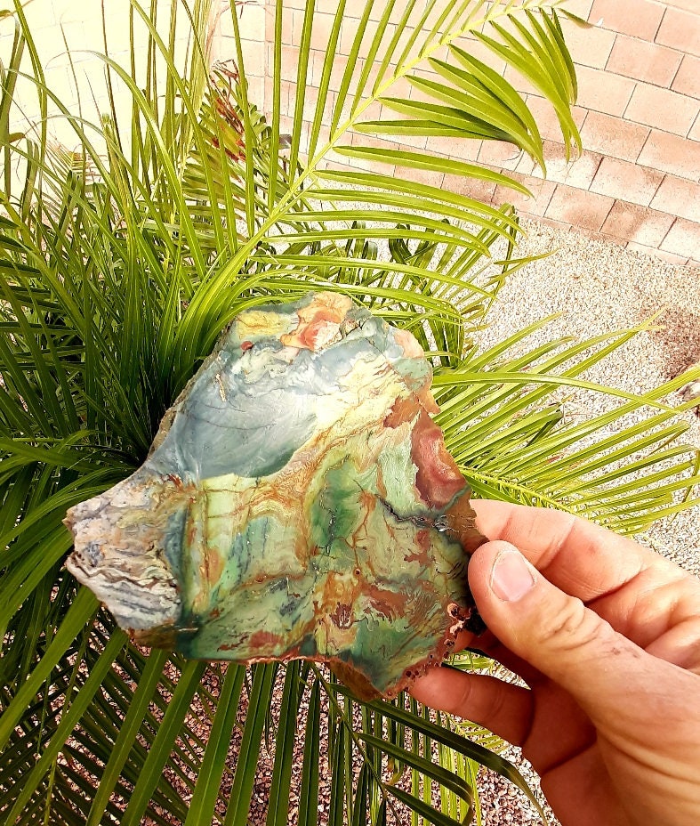 Big Green Petrified Moss Wood Slab, Raw Material Rock Slab. Cabbing ...