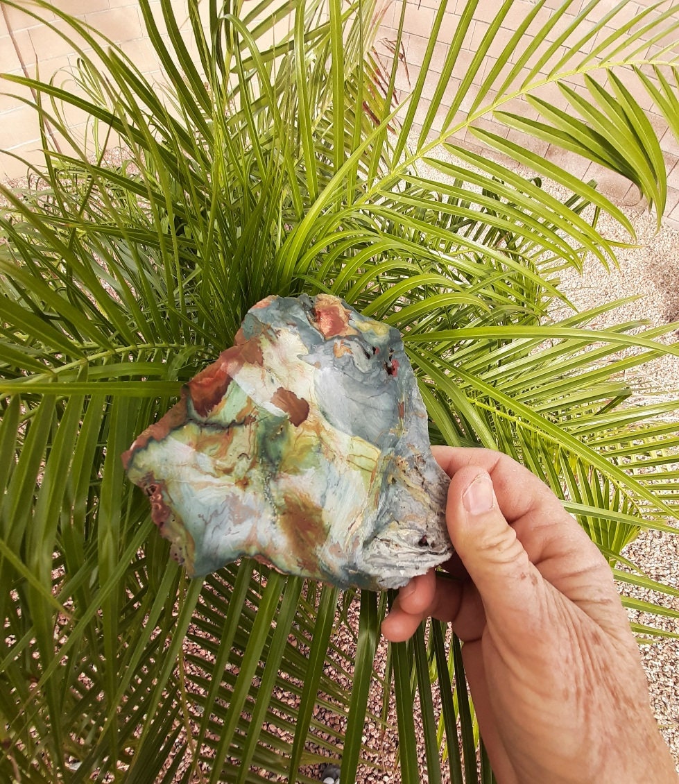 Big Green Petrified Moss Wood Slab, Raw Material Rock Slab. Cabbing ...